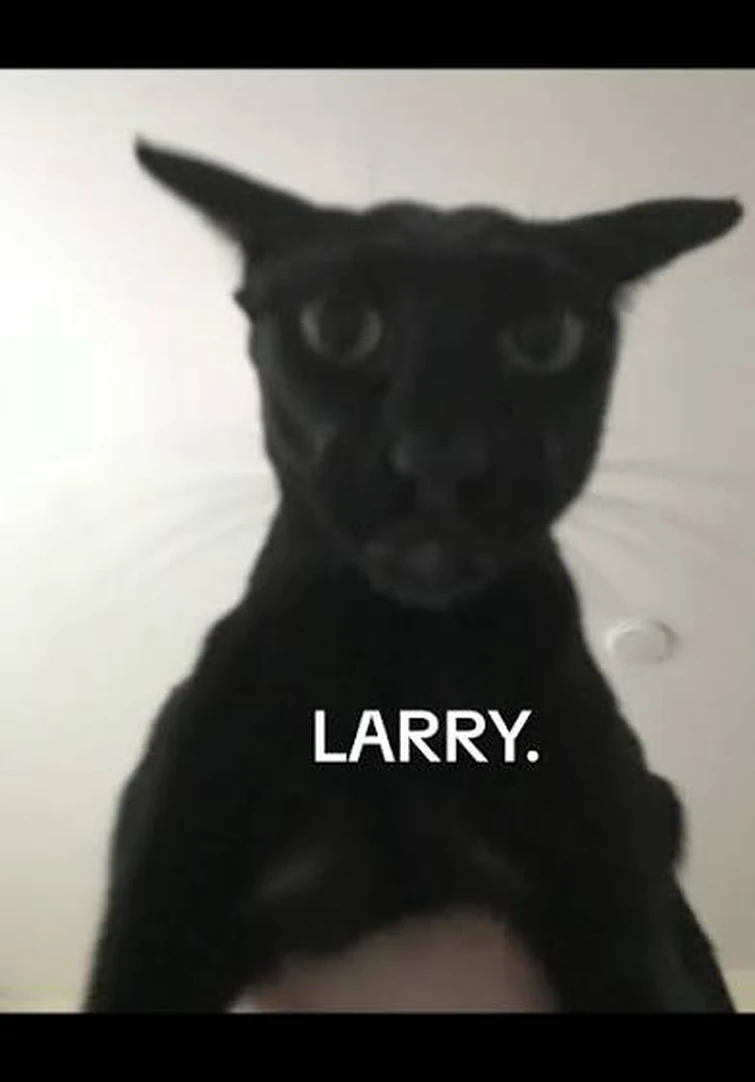 Lotus's Offtopic Megagainz | Fandom