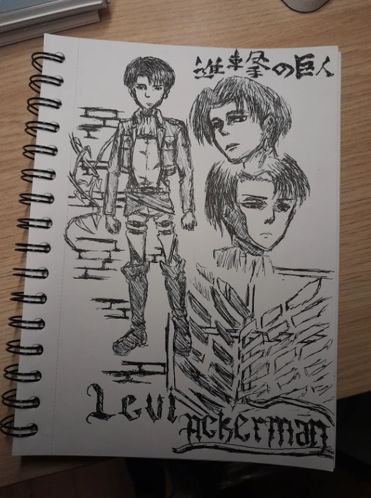 tried to draw Levi | Fandom