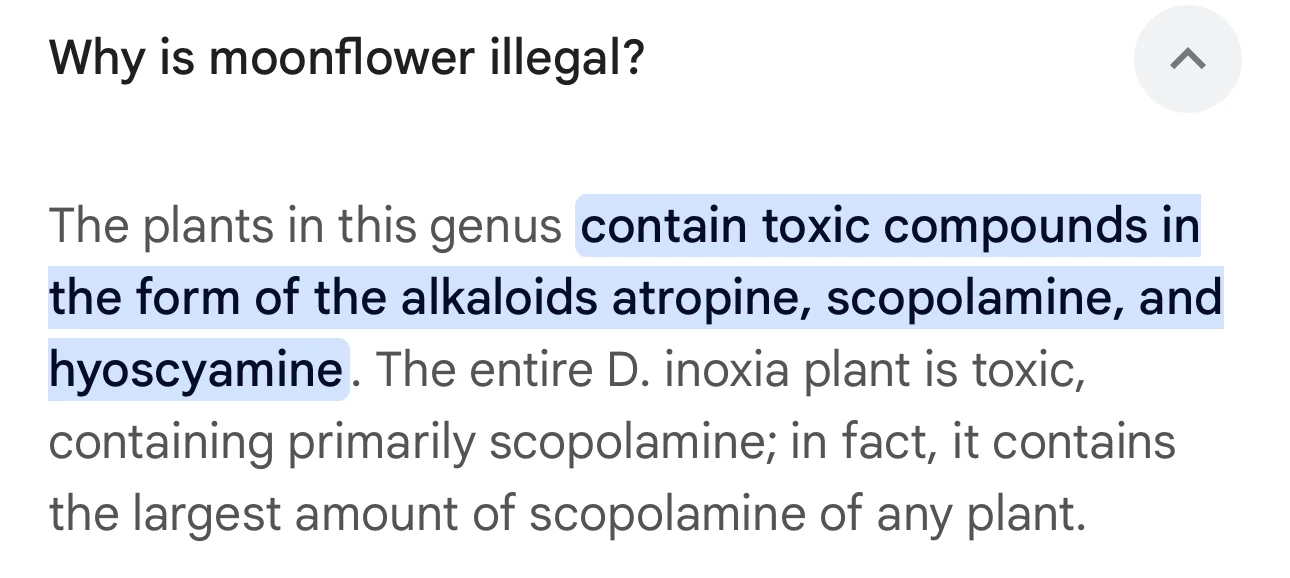 Moonflower is toxic Yaoi confirmed | Fandom