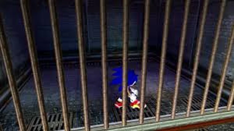 Why is Sonic in jail? (wrong answers only) | Fandom