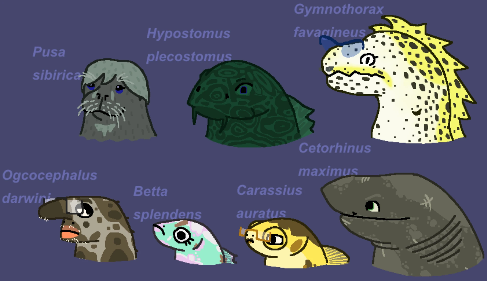 Bloop bloop | Fandom