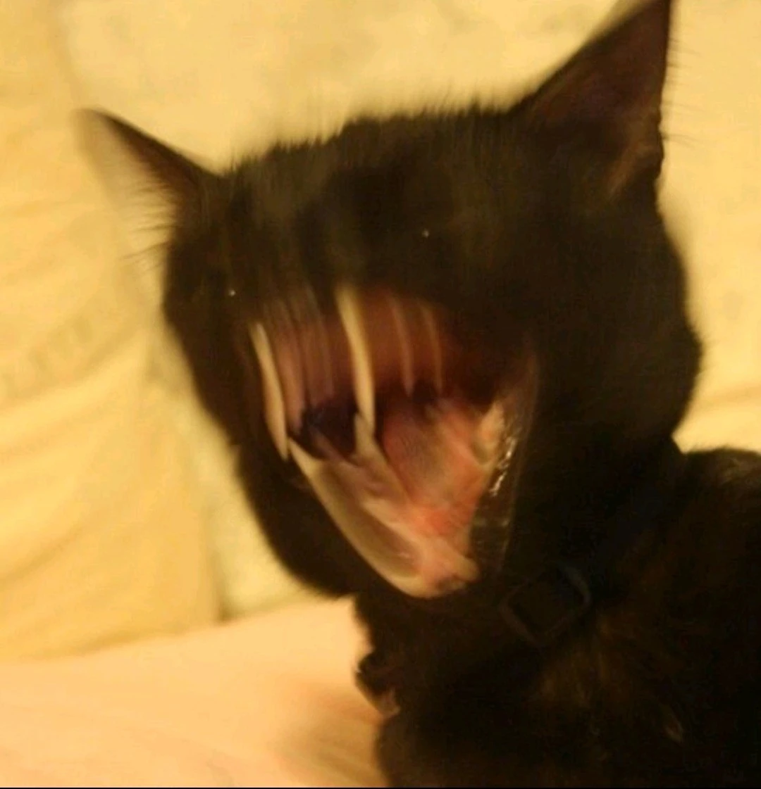 Hit me with your BEST PFPs. | Fandom