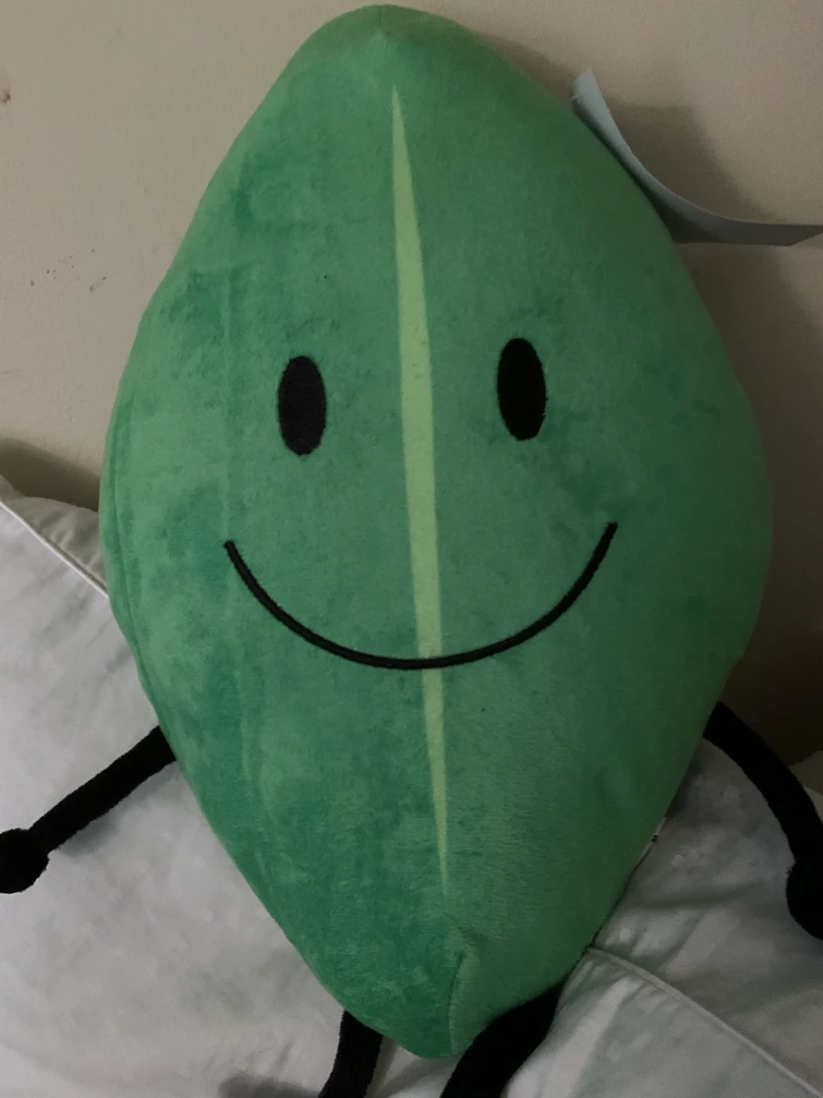 GUYS I HAVE THE LEAFY PLUSH!!!??? | Fandom