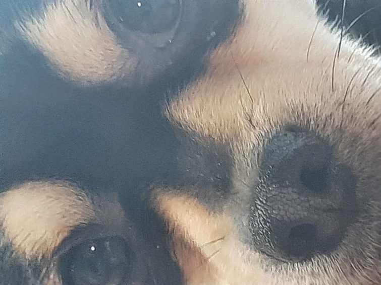 What Shall I Put as My Dec PFP 😏 | Fandom