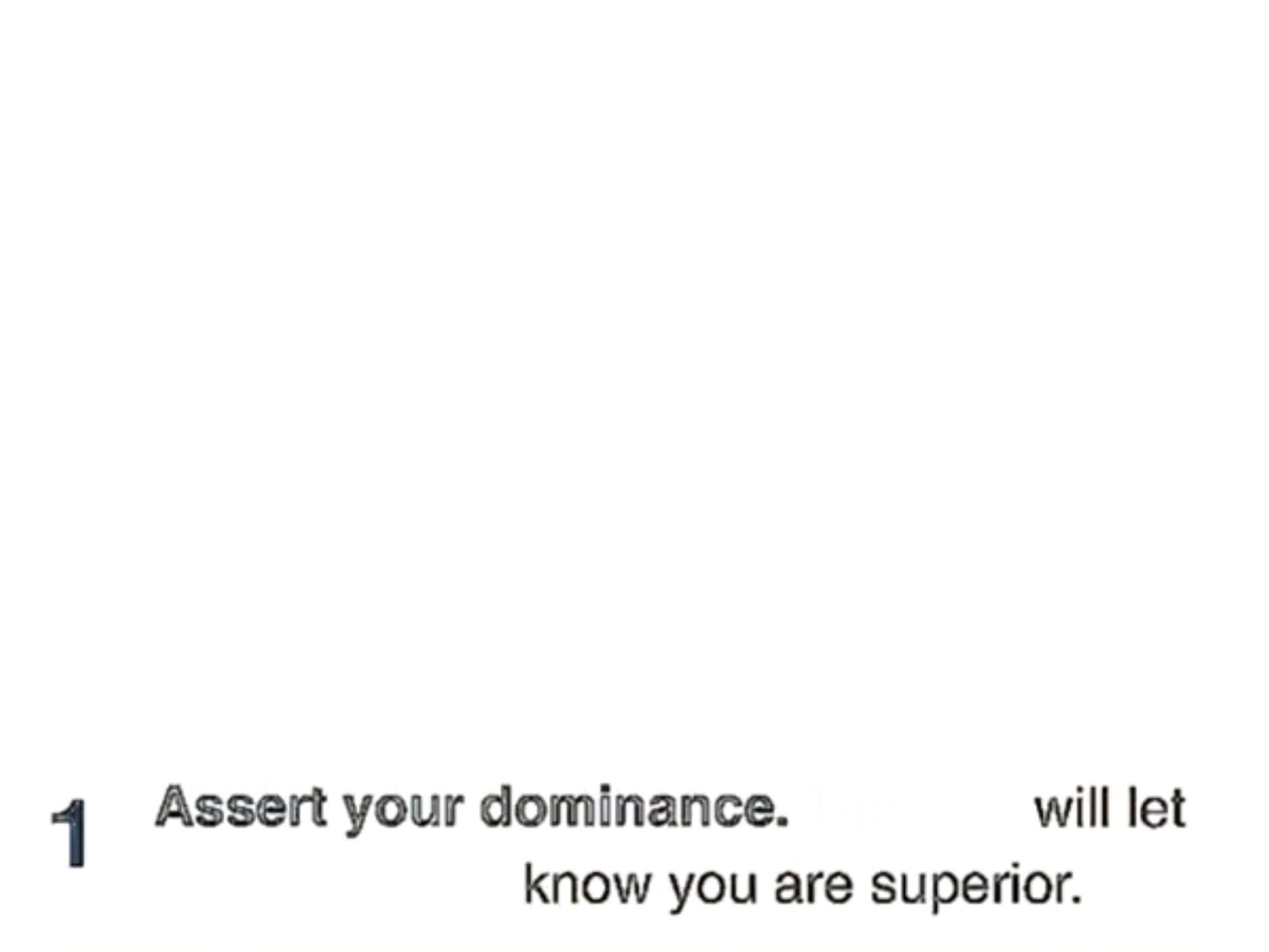 Assert your dominance meme template | Fandom