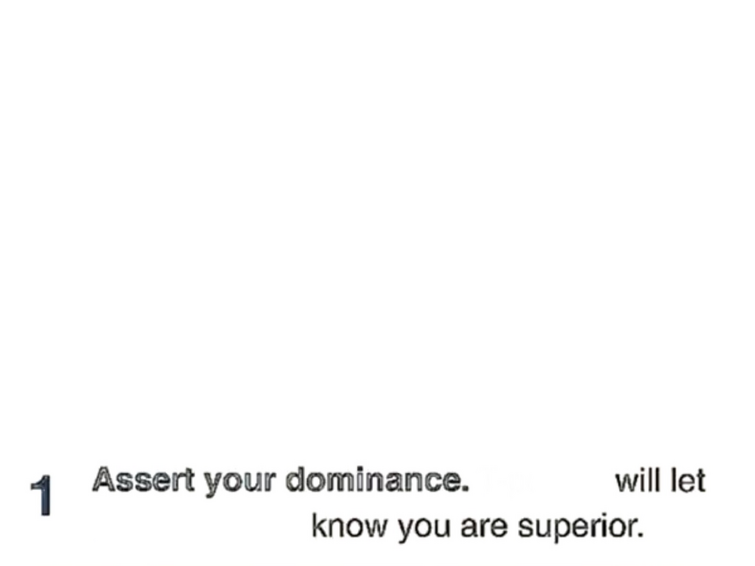 Assert your dominance meme template | Fandom