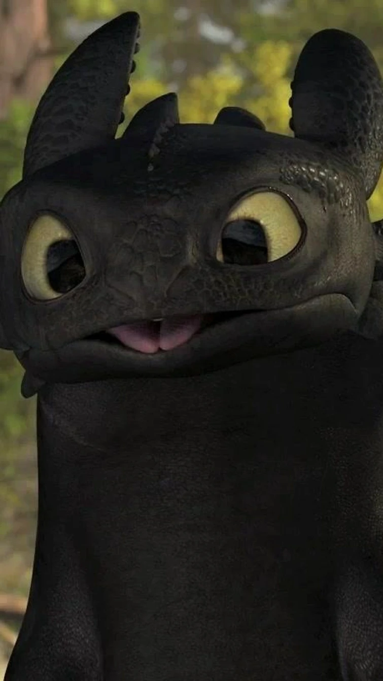 Toothless expression | Fandom