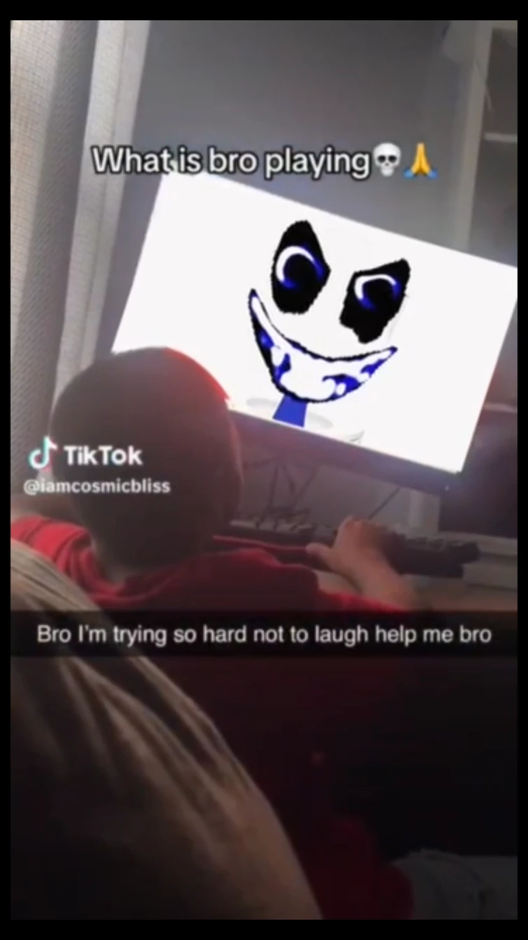 can you guys stop ranting about skibilly being overrated unfunny meme ...