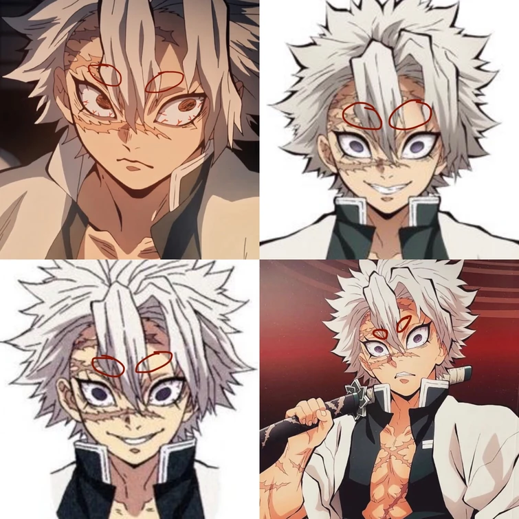 The Infamous Shinazugawa Eyebrow Study | Fandom