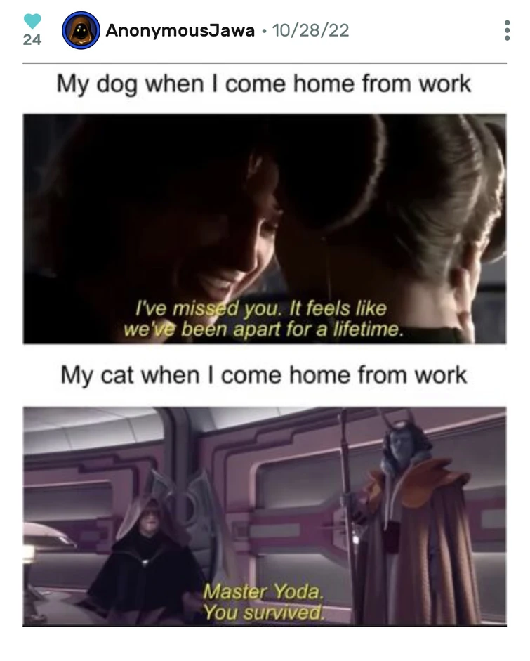 🤣[Meme of the Week Contest] Round 108 Winners: Impressive, Most ...