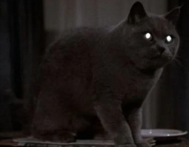 The Legion Of Doomageddon | Fandom