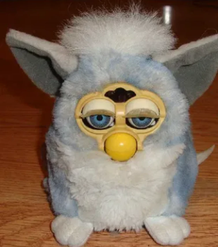 help me find this furb !! :D | Fandom