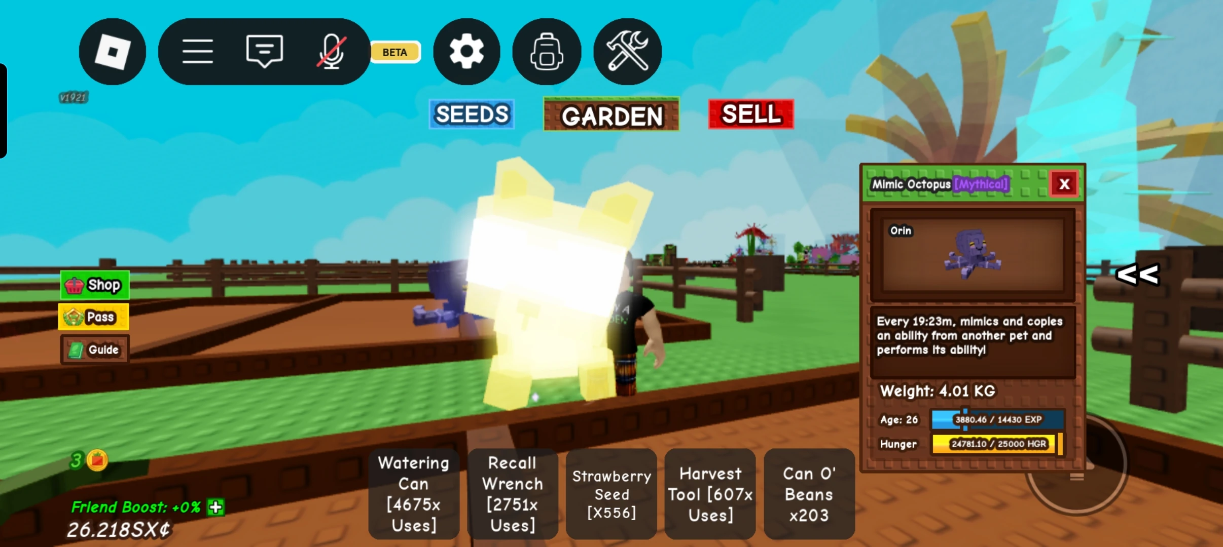 Ascended raccoon | Fandom