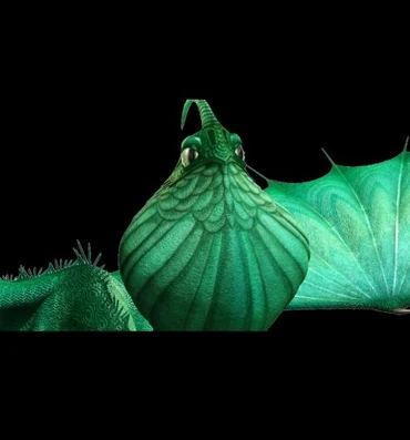 Who would win? | Fandom