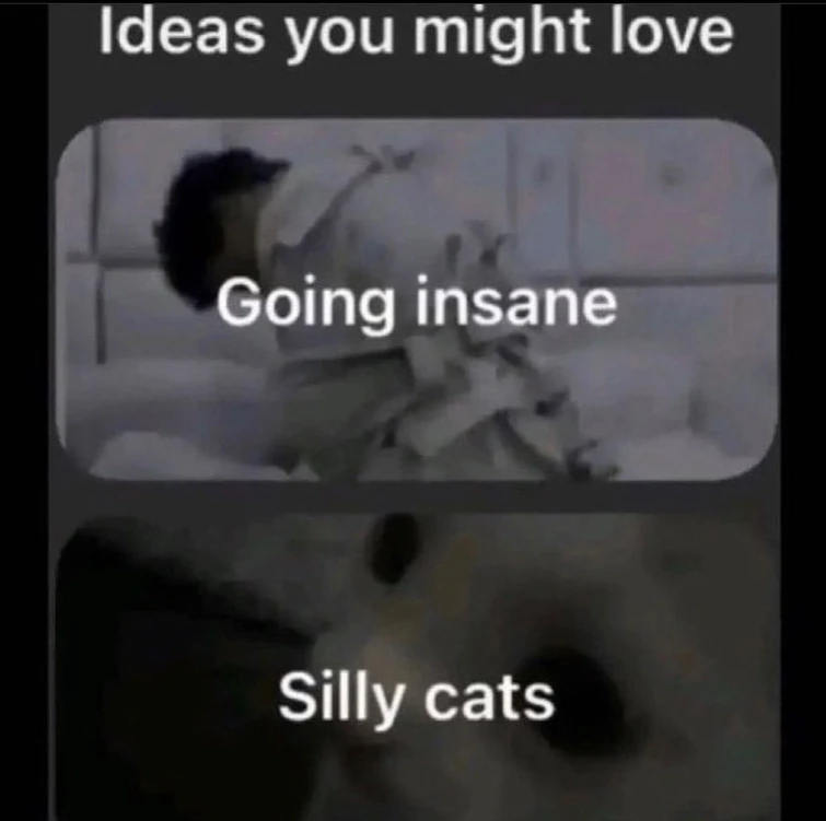 POD caught in 4k??1/!/!? 🤨🤨📸📸😱😱😱😳😳😳🥵🥵🥵🔞🔞🔞🔞🏳‍🌈🏳‍🌈🏳‍🌈🏳‍🌈 | Fandom