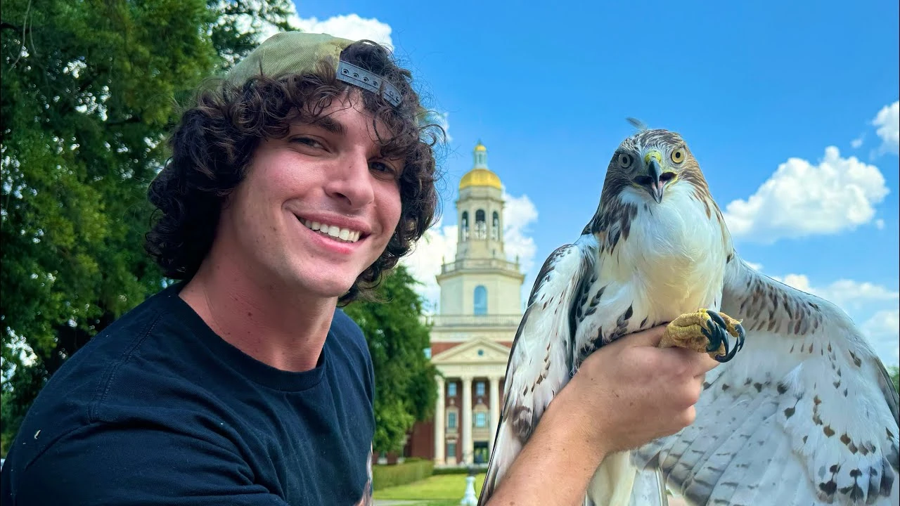 theres a new secret urban rescue video! | Fandom