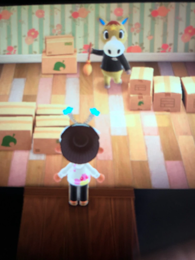 Discuss Everything About Animal Crossing Wiki | Fandom