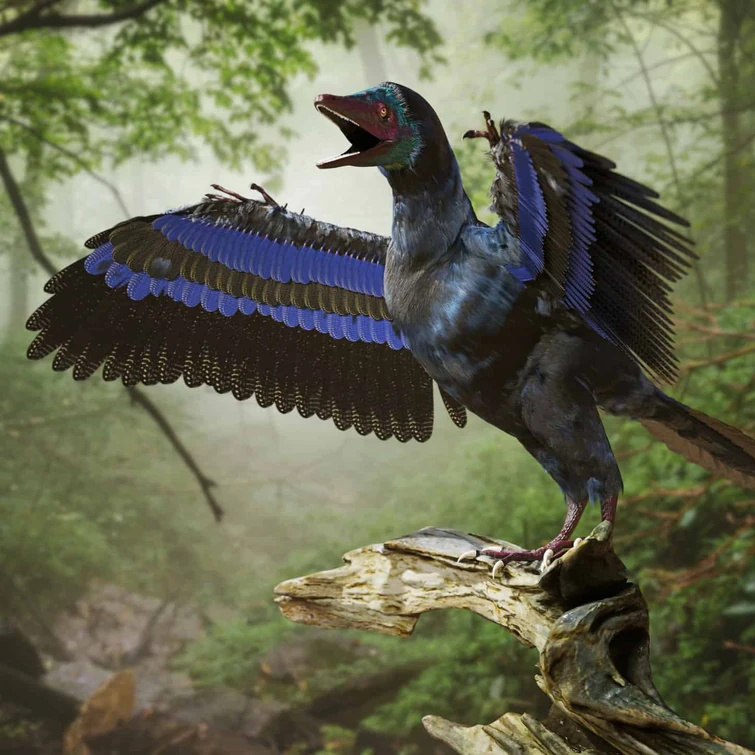 Gecko's Favorite Prehistoric Critters List | Fandom