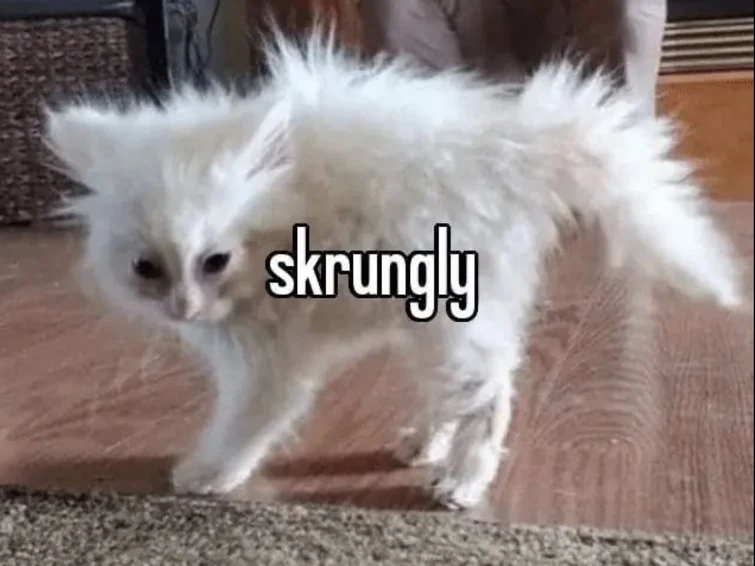 Putting wof characters in skrunkly cat photos | Fandom