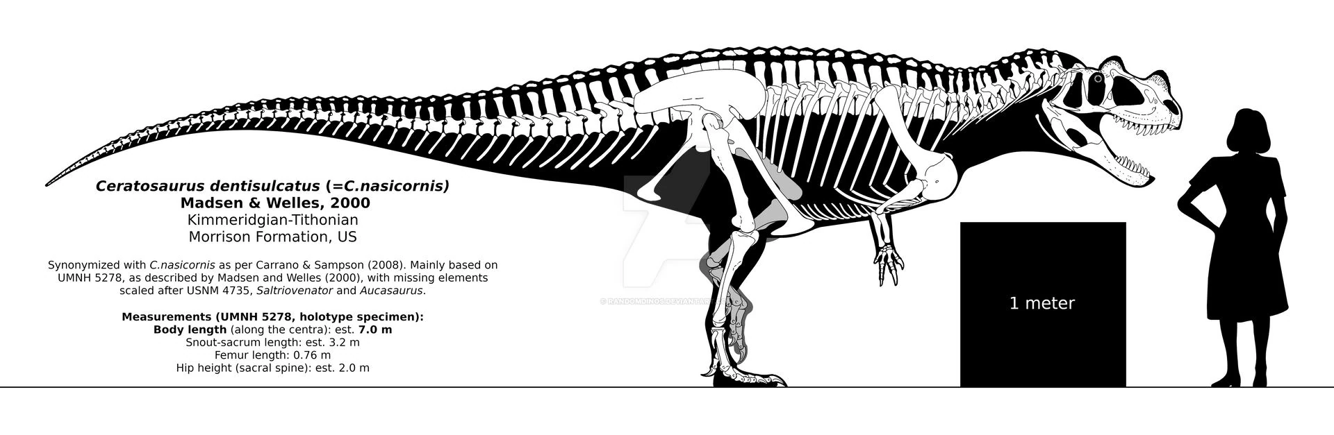 Ceratosaurus skeletal | Fandom