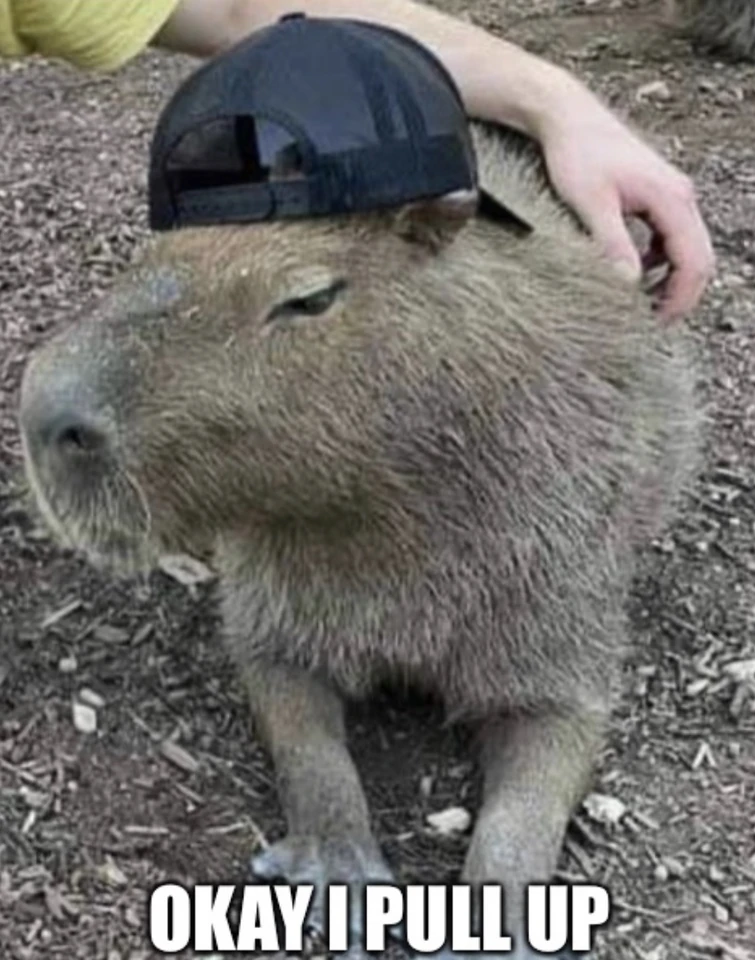 “Okay i pull up” | Fandom