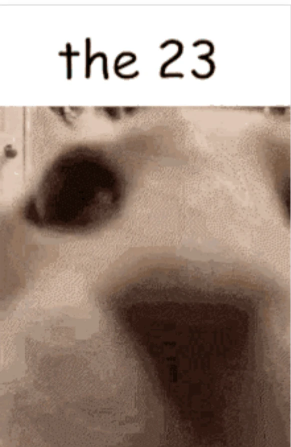 23 | Fandom