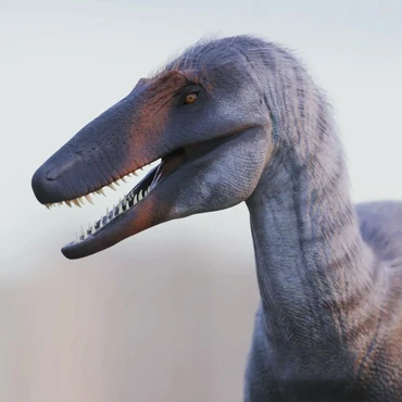Discuss Everything About Dinopedia | Fandom