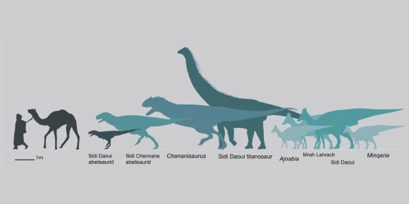 NEW HADROSAUR FROM MOROCCO | Fandom