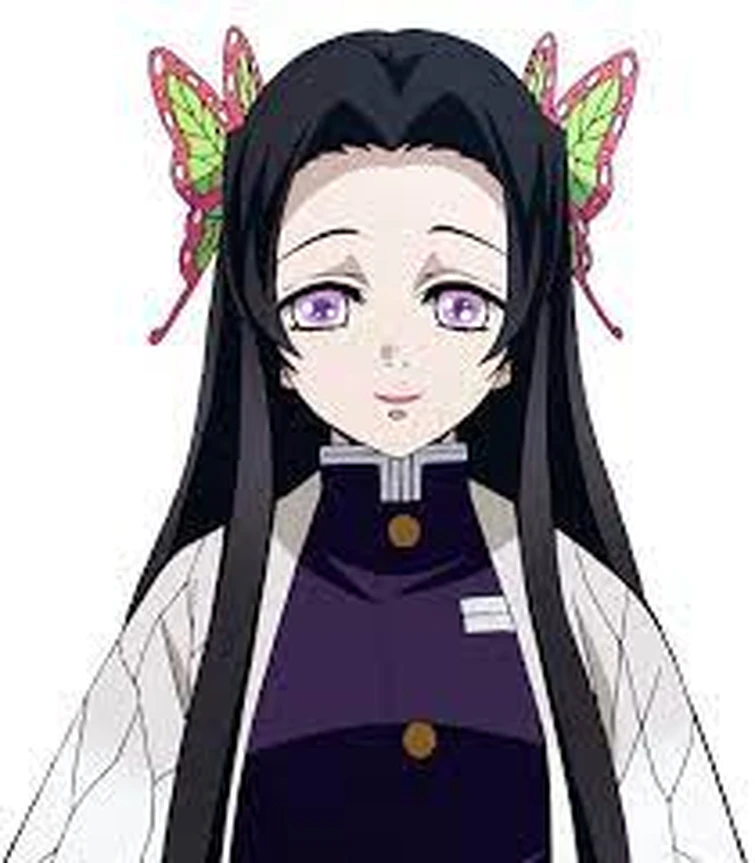 Two Hashira vs Upper Moons | Fandom