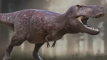 do you love Scientifically Accurate T-rex | Fandom