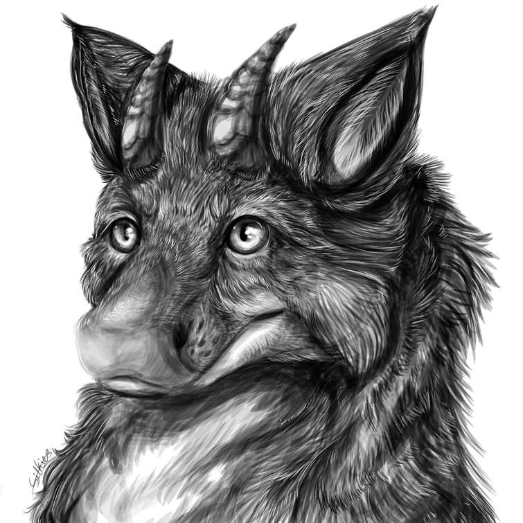 Realistic Saur Drawing Done! | Fandom