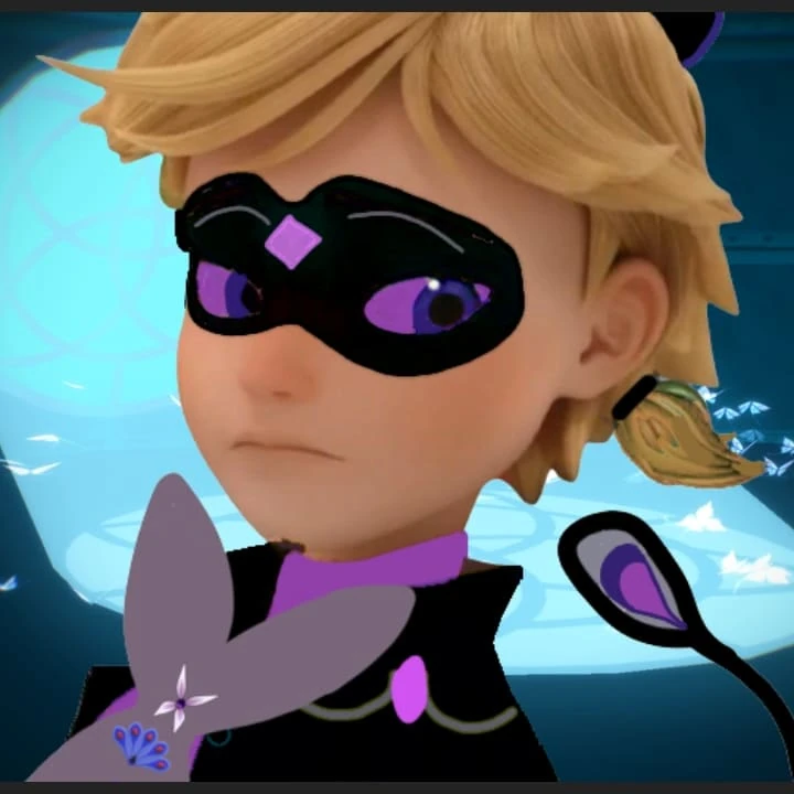 Shadow Noir Adrien | Fandom
