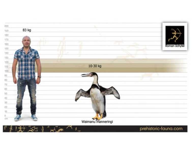 Next extinct bird prediction | Fandom