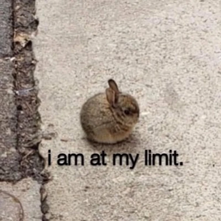 Spoilers click here to see spoil stuff | Fandom