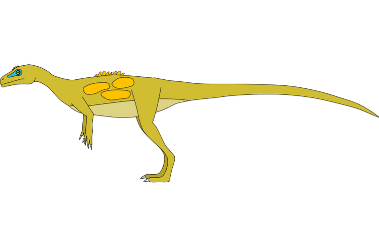 Eoraptor | Fandom