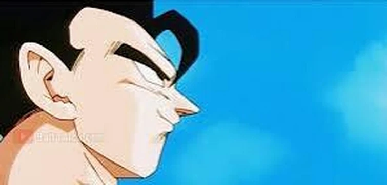 Morite Pobre!!! | Fandom