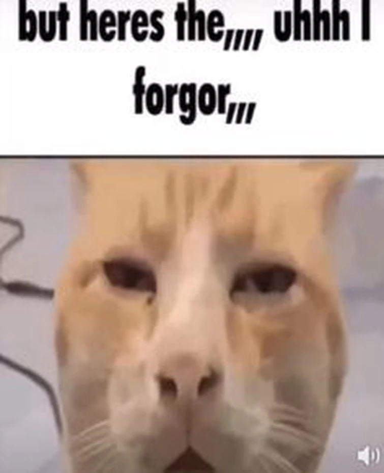 Casually returns (Intro?) | Fandom