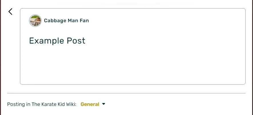 Cobra Kai//A Guide To Categorizing Posts | Fandom