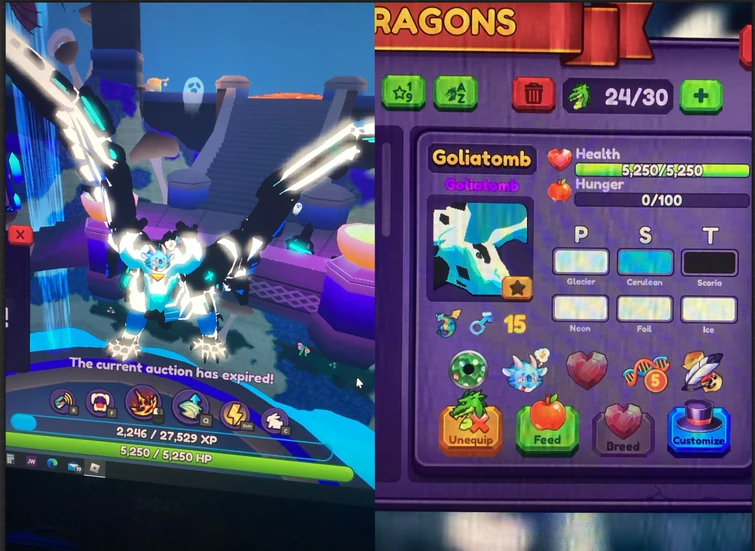 the aya army rate ur dragons | Fandom