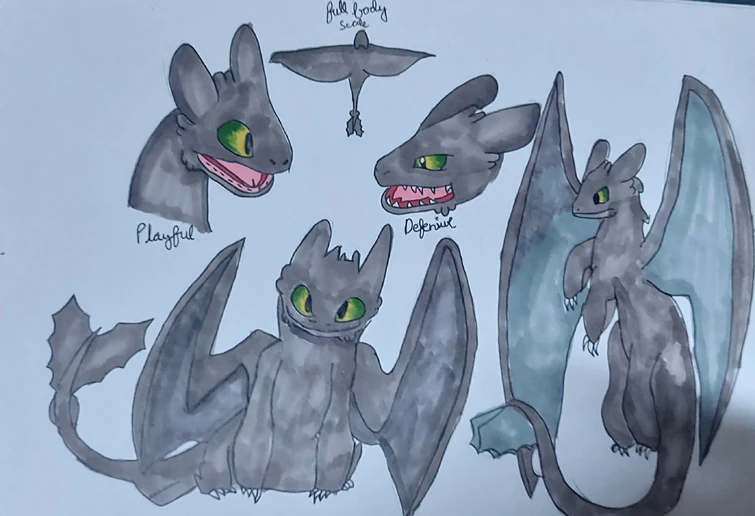 Night fury (female concept redraw) | Fandom