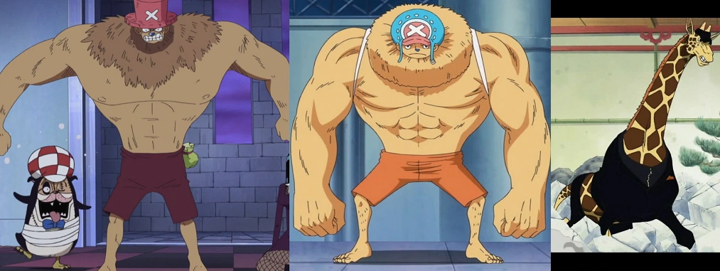 La Hito Hito no Mi de Chopper | Fandom