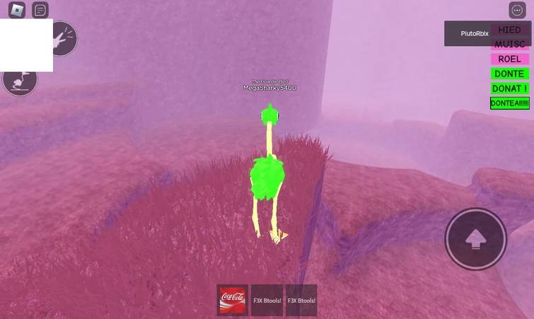 Discuss Everything About Roblox BIRD Wiki | Fandom