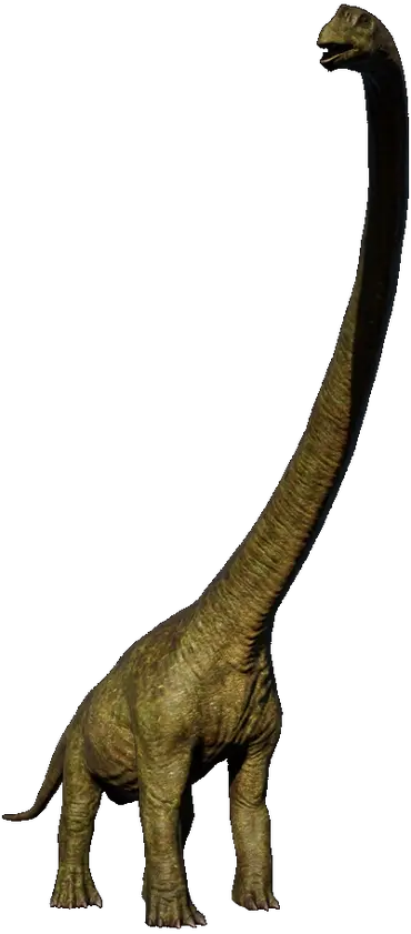 Giraffatitan vs Mamenchisaurus | Fandom