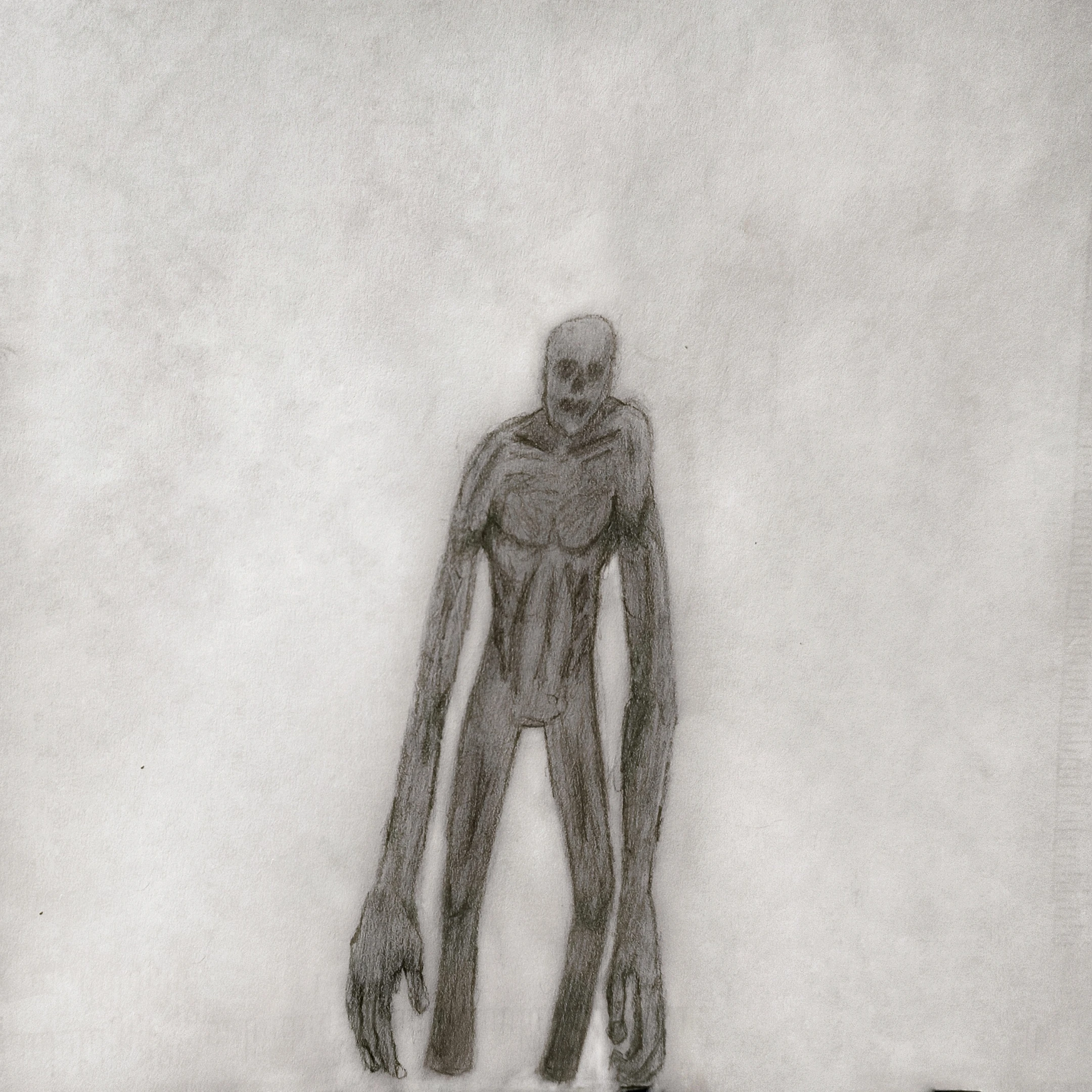 Interpretations of Entities: Partygoers & Dullers | Fandom