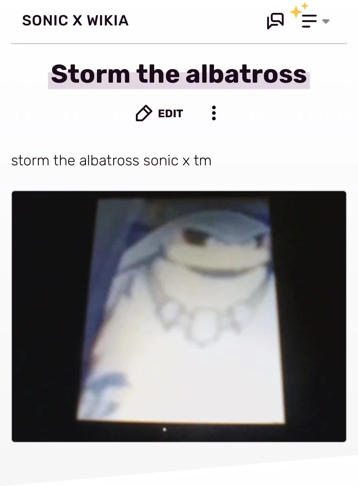 Storm in Sonic X? | Fandom