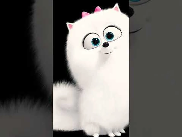 Gidget Edit | Fandom