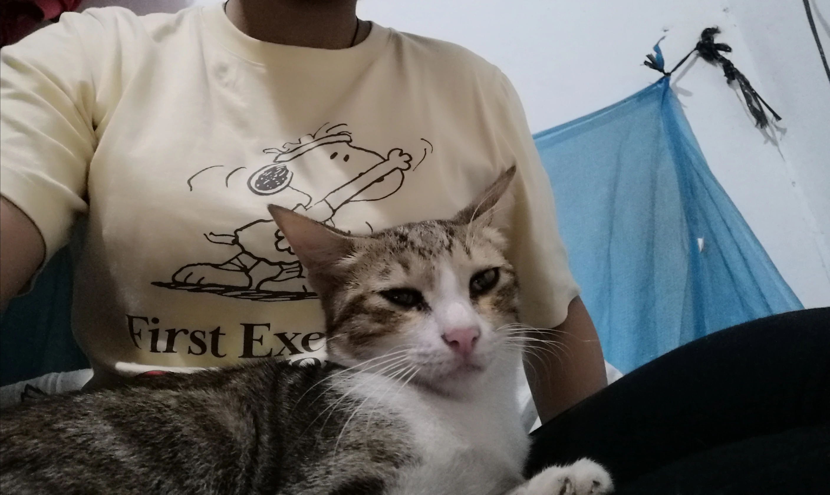 Little fella | Fandom