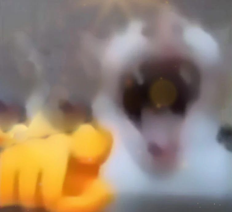 I have made a blox fruits wheel of names, try to guess what fruit it lands on. IM BAAAAACK! SPIN ...