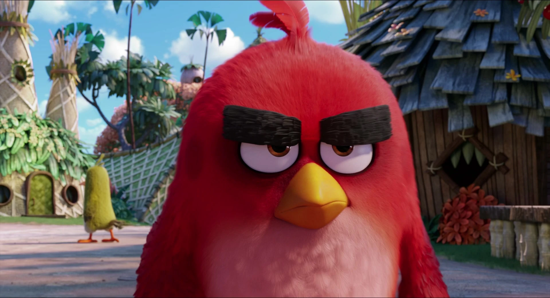 Question Theme: Movie Birds | Fandom