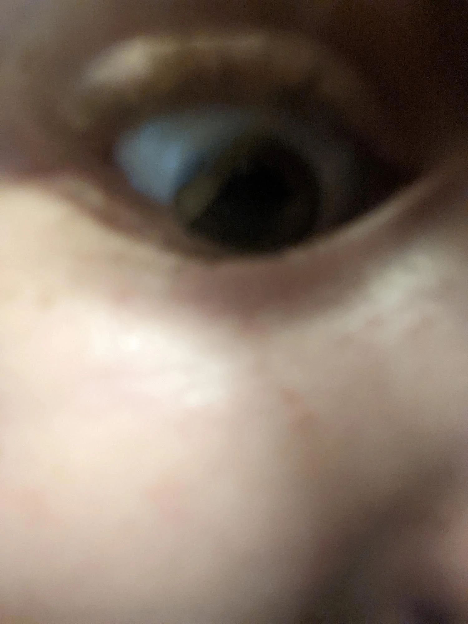 Yoooooooooo it's the eye | Fandom